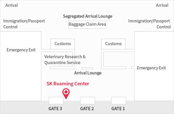 Korea SIM Gold, SKT Unlimited Data + 010 Number + Voice, Text - Airport Pickup