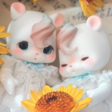 Puko [Basic] - kumukuku